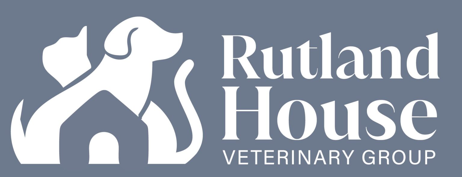 Rutland House Hospital | Rutland House Vets